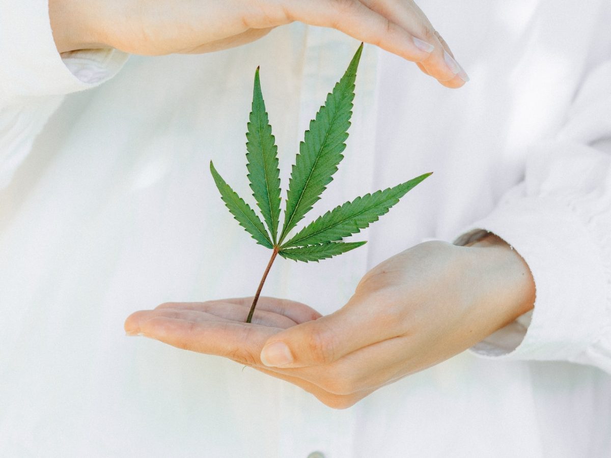 Garden - What About CBD